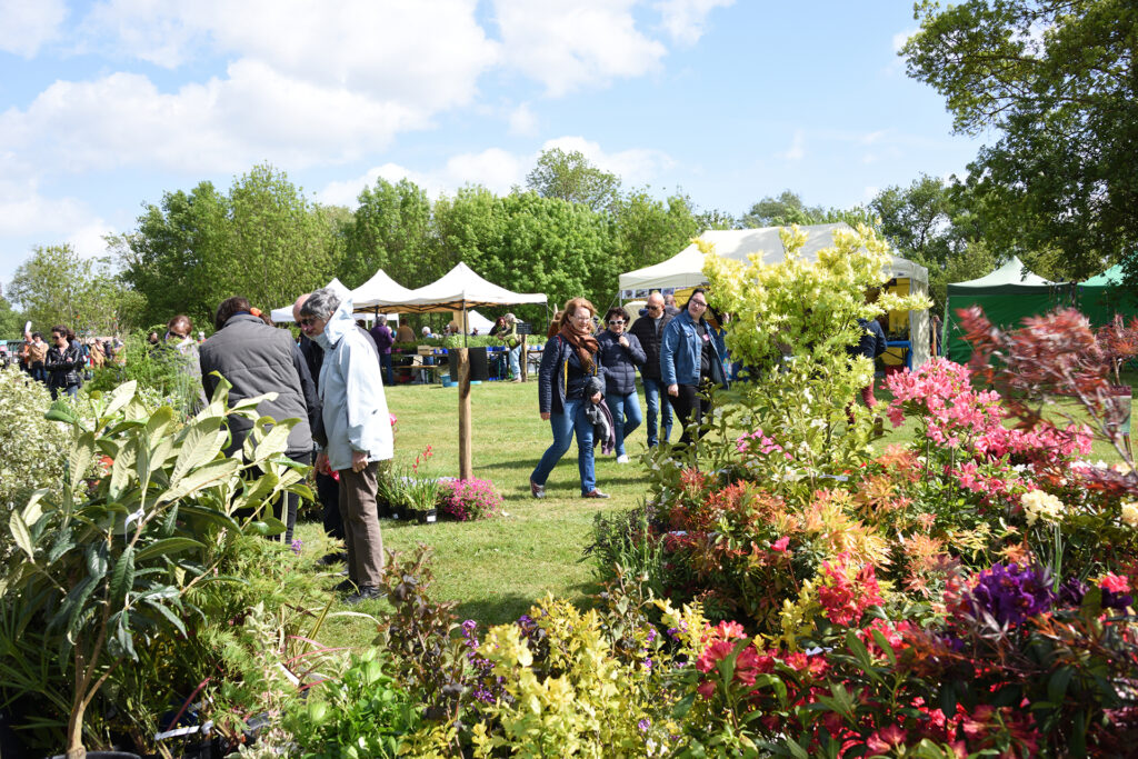 Chloroph'îles - Ville de Saint-Sébastien-sur-Loire